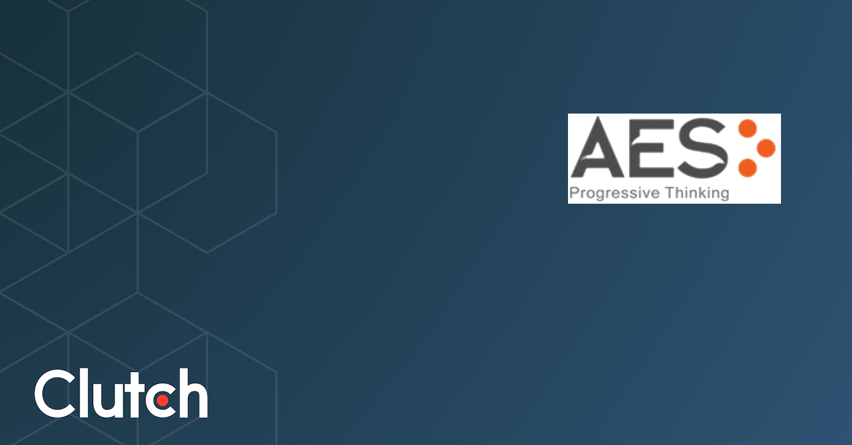 AES Technologies India Pvt Limited - Services & Company Info