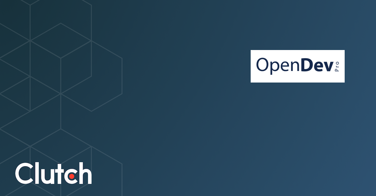 OpenDev Pro - Services & Company Info