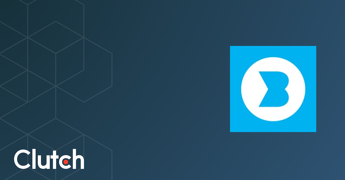 Bayforce - Services & Company Info