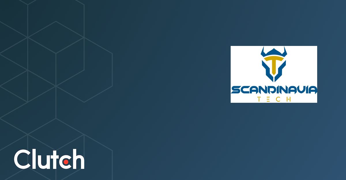 Scandinavia Tech - Services & Company Info