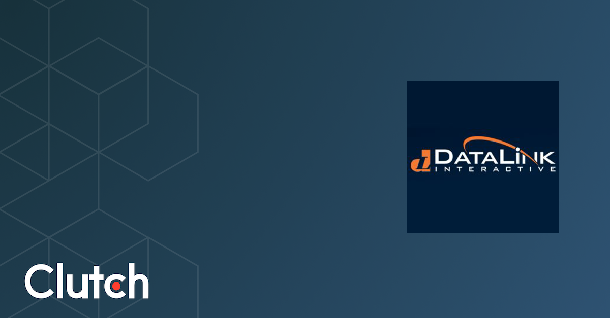 DataLink Interactive, Inc. - Services & Company Info