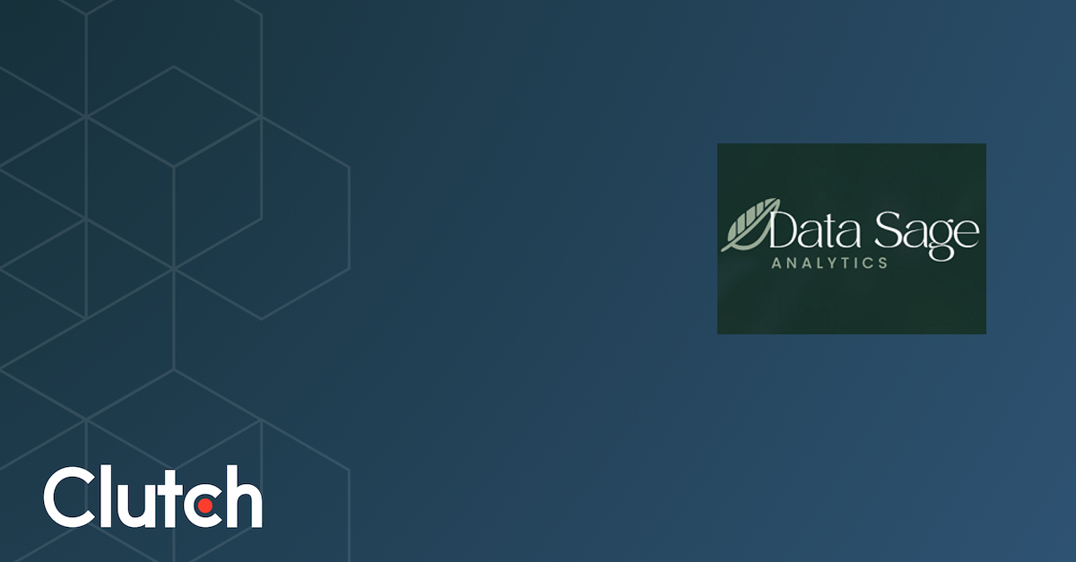 Data Sage Analytics - Services & Company Info