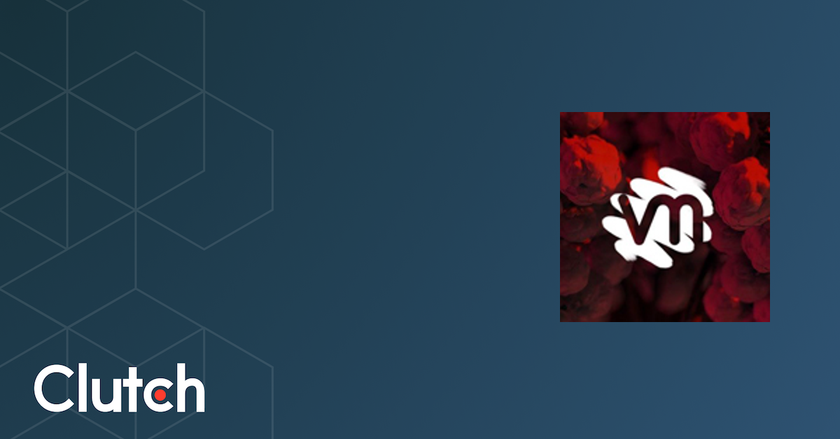 Visual Minds - Services & Company Info