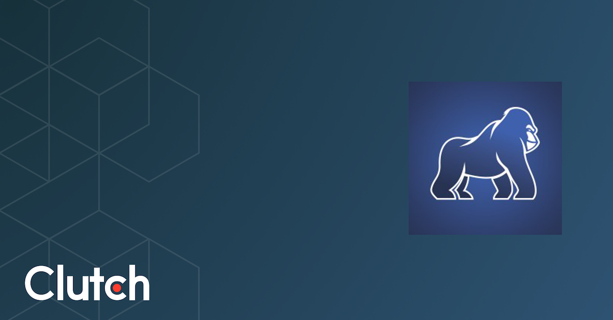 Blue Gorilla Digital - Services & Company Info