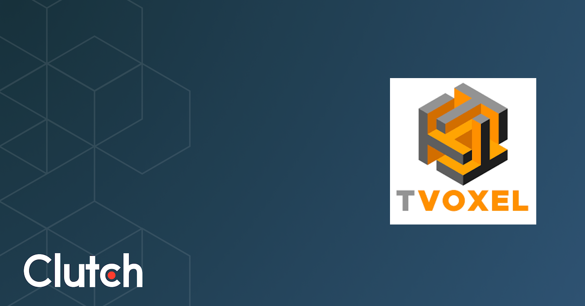 Tvoxel Technologies - Services & Company Info