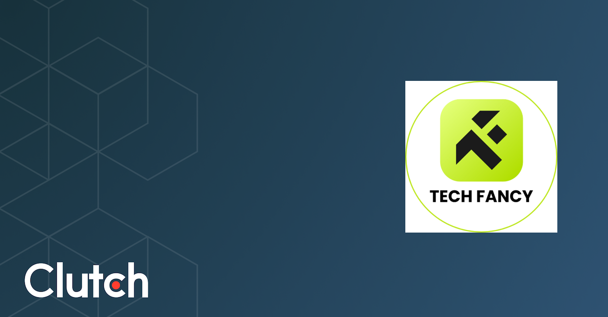 Tech Fancy Ltd - Services & Company Info