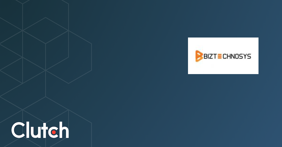 Biztechnosys infotech PVT LTD - Services & Company Info