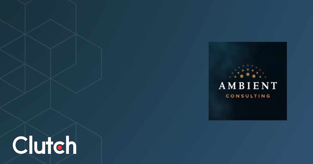 Ambient Consulting - Services & Company Info