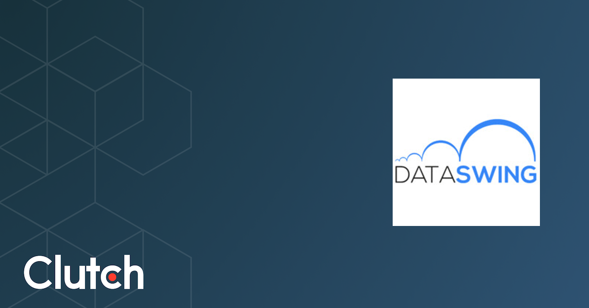 DATA SWING - Services & Company Info