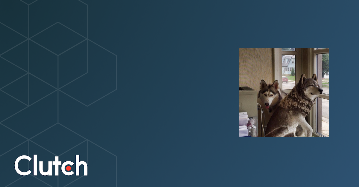 Research & Learn About Grey Wolf Accounting & Tax Service, Inc. - The ...