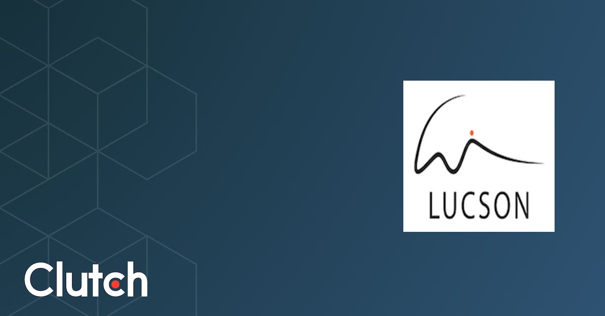 Lucson Infotech Pvt. Ltd. - Services & Company Info