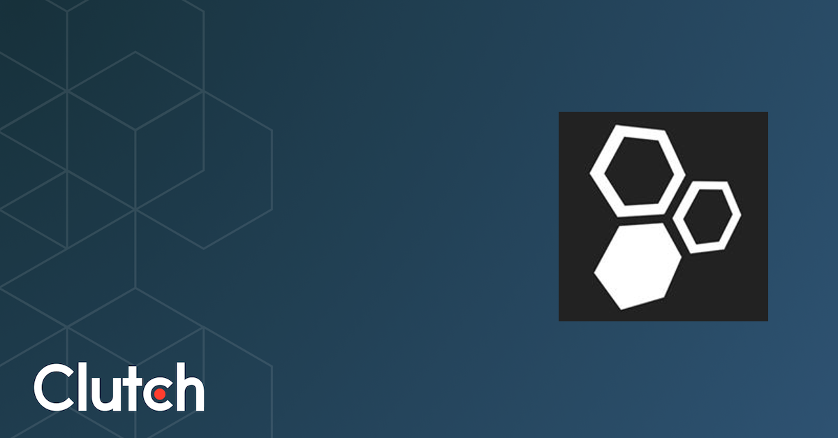 Synthesis Software Technologies - Services & Company Info