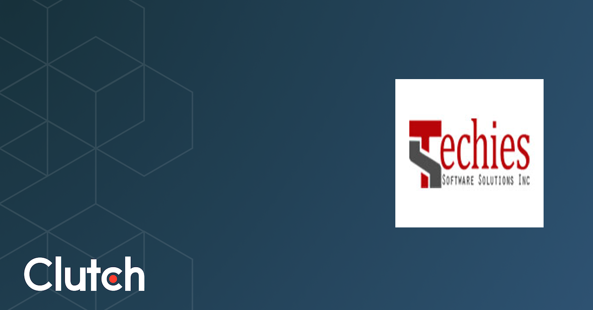 Techies Software Solution Inc - Services & Company Info
