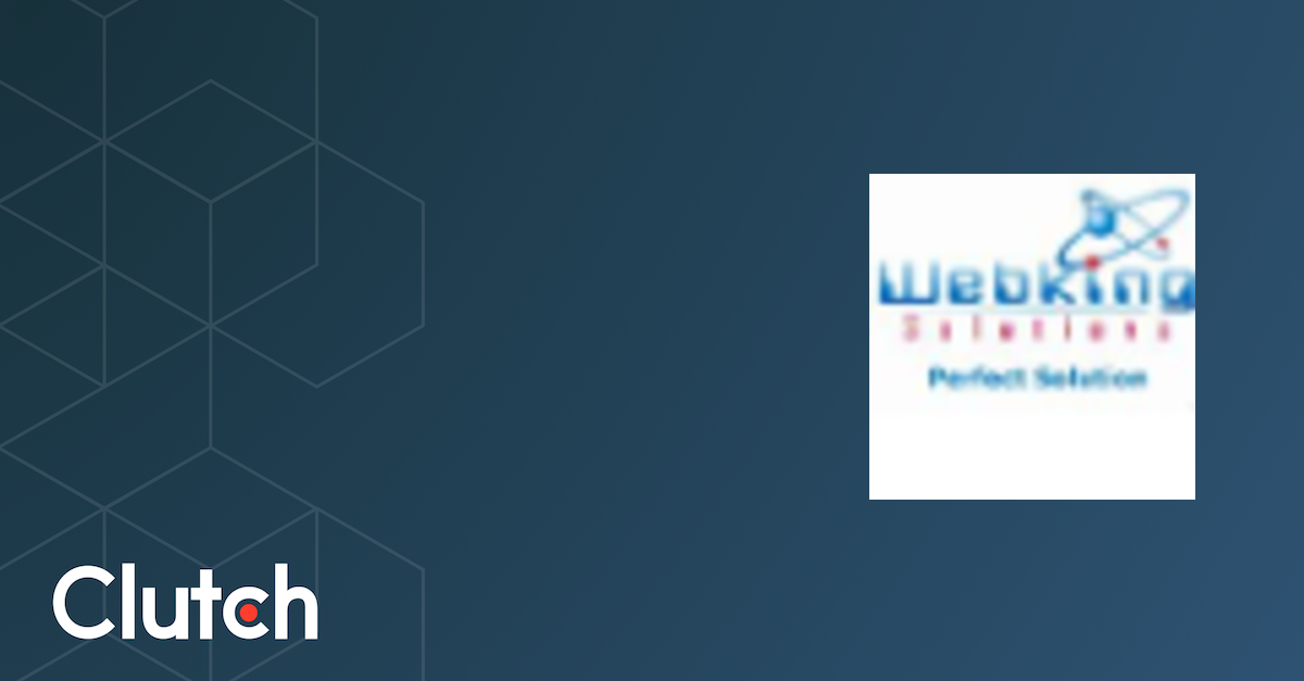 webking solutions - Services & Company Info